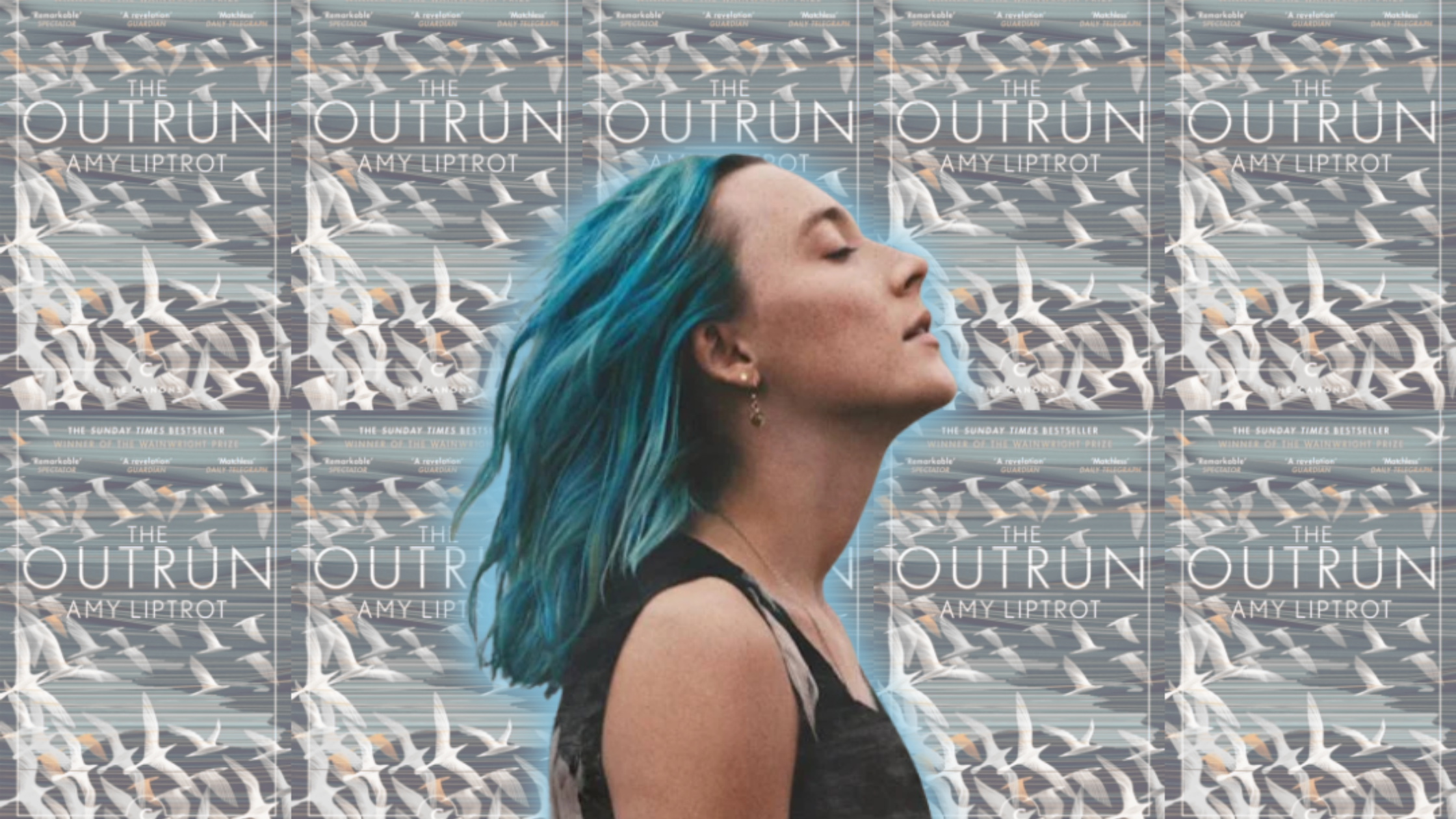 What to read after watching The Outrun – Rare Birds Books