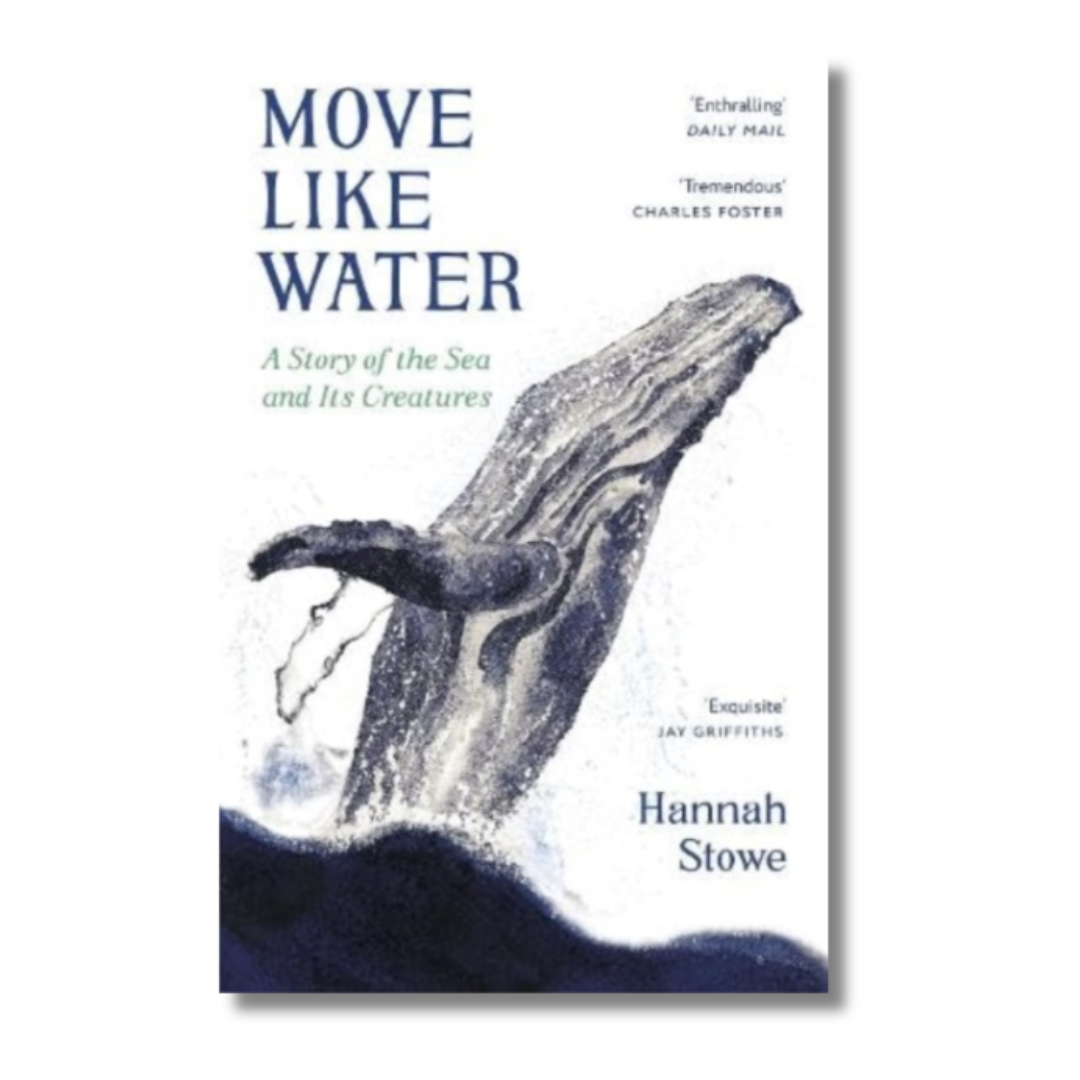 Move Like Water: A Story of the Sea and Its Creatures – Rare Birds Books