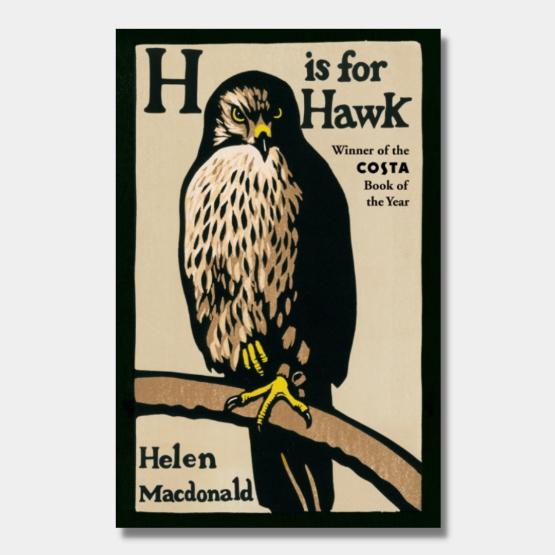 H is for Hawk – Rare Birds Books