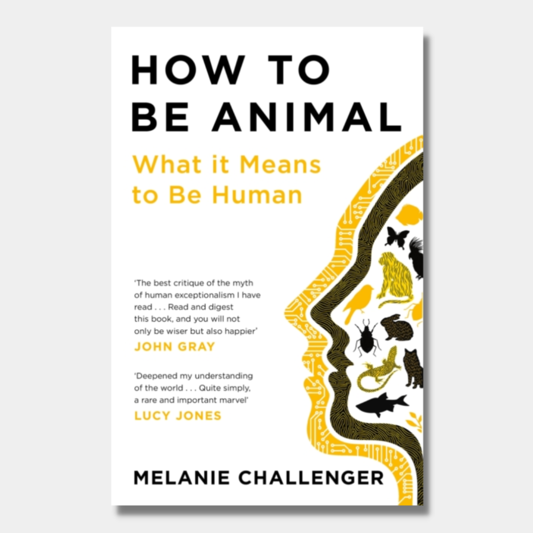 How to Be Animal : What it Means to Be Human – Rare Birds Books