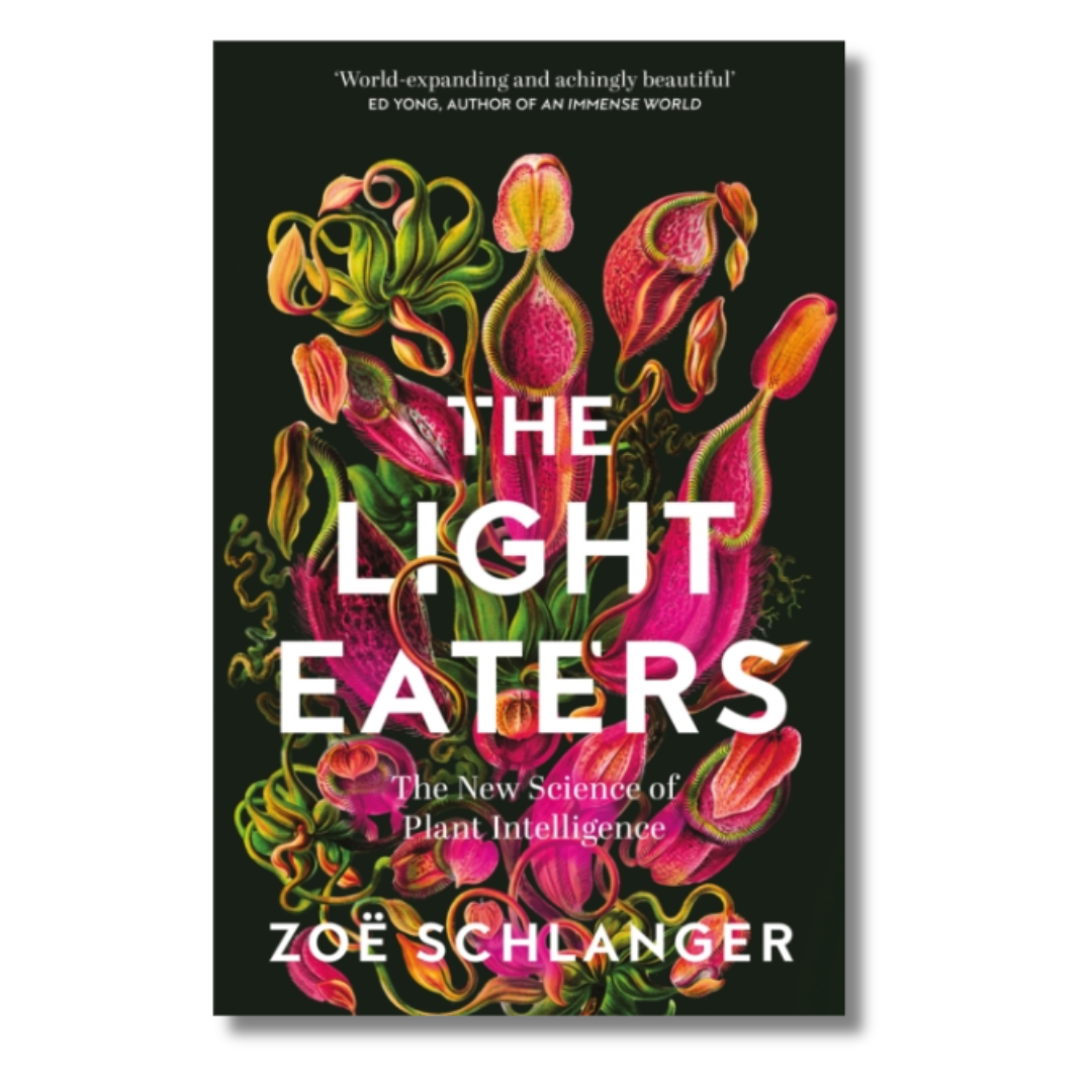 The Light Eaters : The New Science of Plant Intelligence – Rare Birds Books