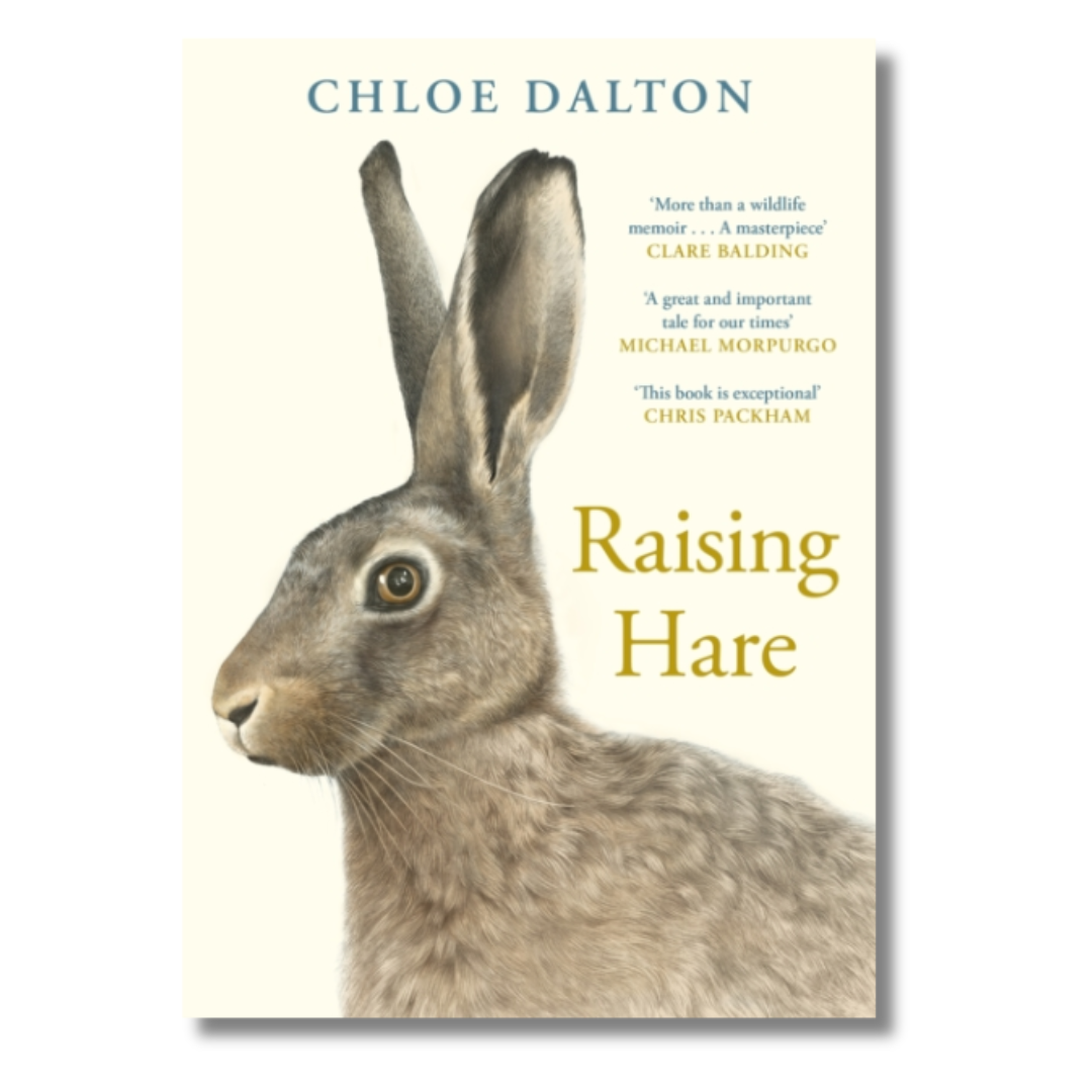Raising Hare – Rare Birds Books