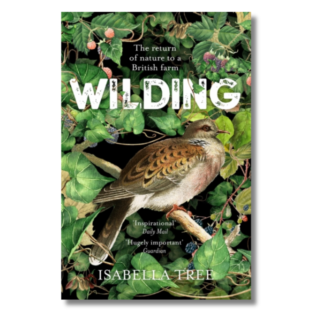 Wilding : The Return of Nature to a British Farm – Rare Birds Books