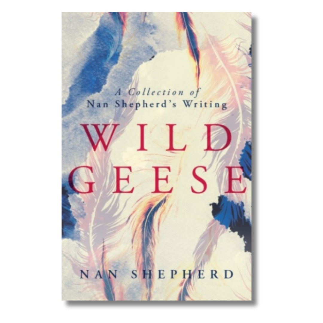 Wild Geese – Rare Birds Books